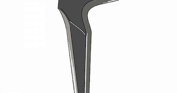Tines