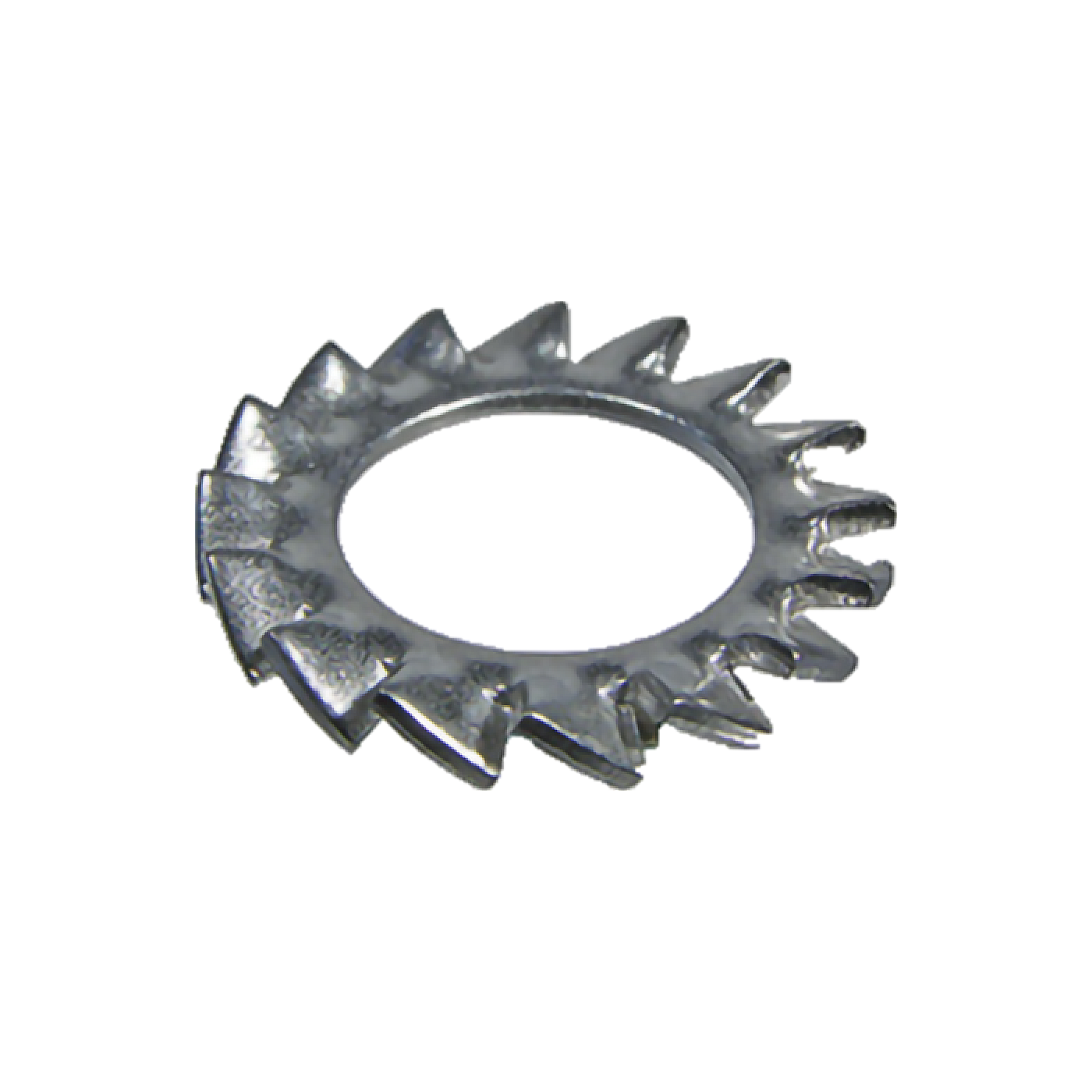 DIN 6798 : 989810000 Serrated Washer Inox DIN 6798A M10